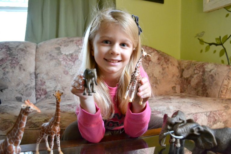 A Fun Adventure with Schleich's Giraffes and African Elephants ...